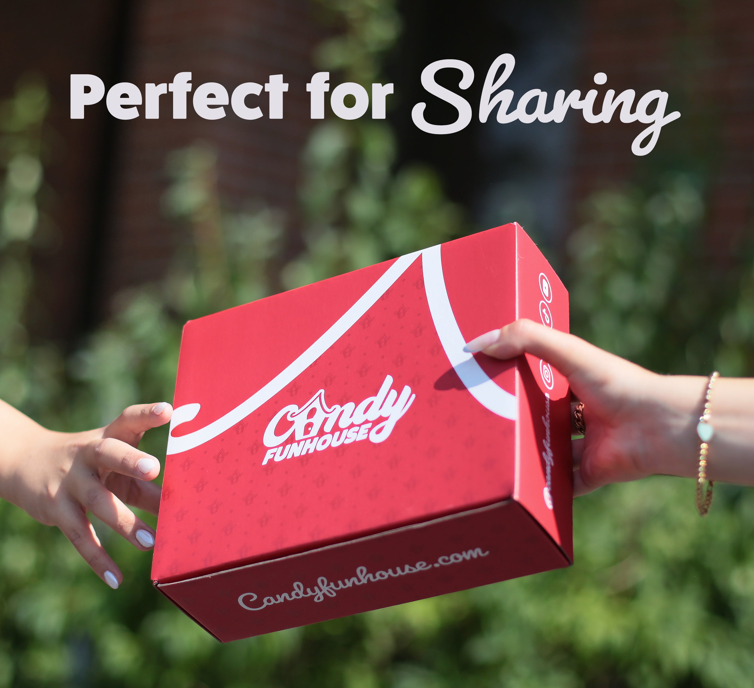 Exotic Candy Funbox | Candy Funhouse – Candy Funhouse CA