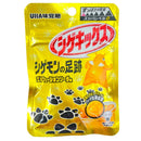 Uha Shigekix Evolution Sour Soda Gummies 20g (Japan) | Candy Funhouse